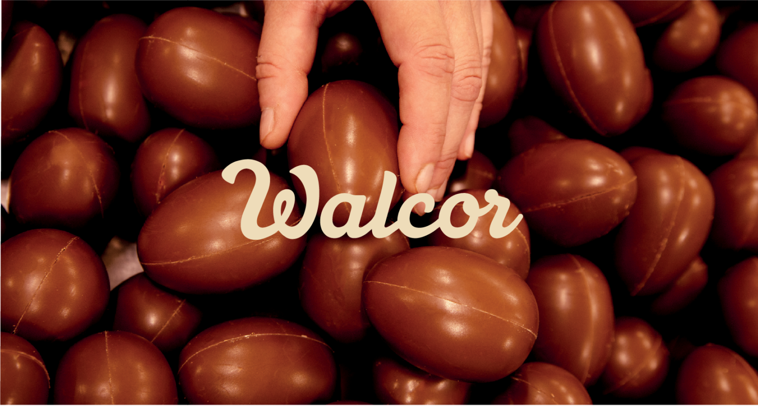 Walcor - The Brand Company